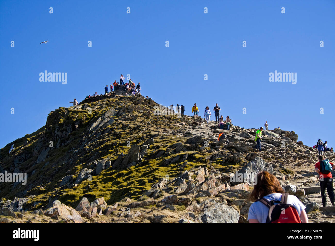 top of snowdon Stock Photo - Alamy