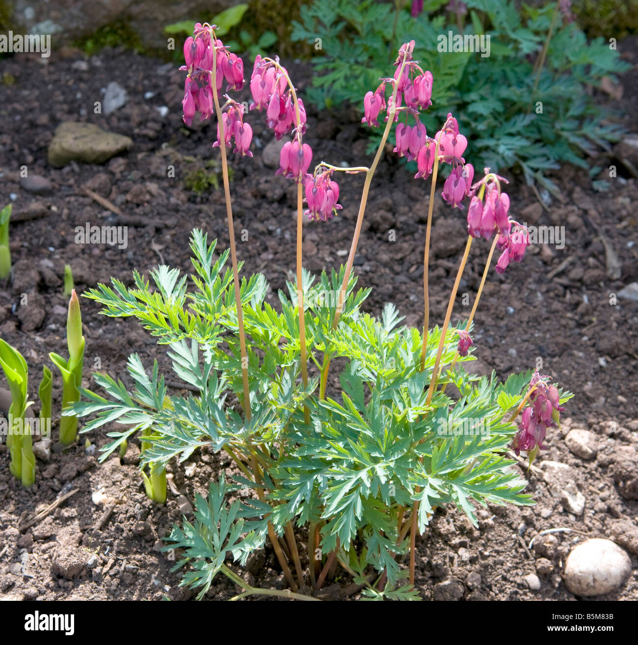 Stuart boothman hi-res stock photography and images - Alamy