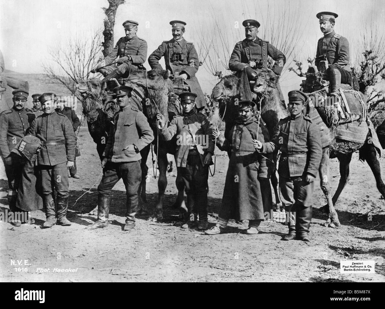 2 G55 B2 1915 7 Bulgarian Camel Troops WWI History World War I The ...