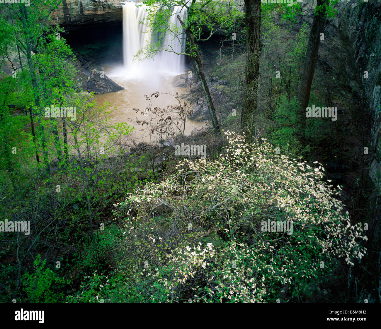 Noccalula park hi-res stock photography and images - Alamy