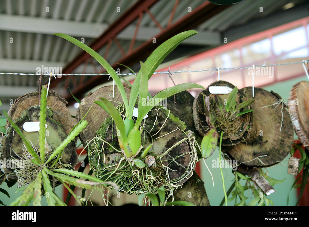 Seed exhibition hi-res stock photography and images - Alamy
