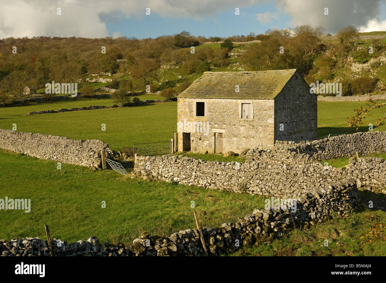 Stone barn and drystone walls Grassington Upper Wharfedale North ...
