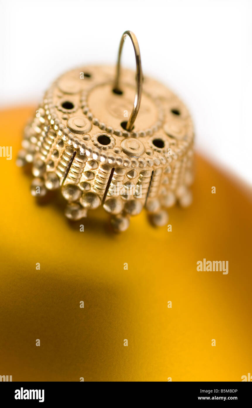Tree backdrops hi-res stock photography and images - Alamy