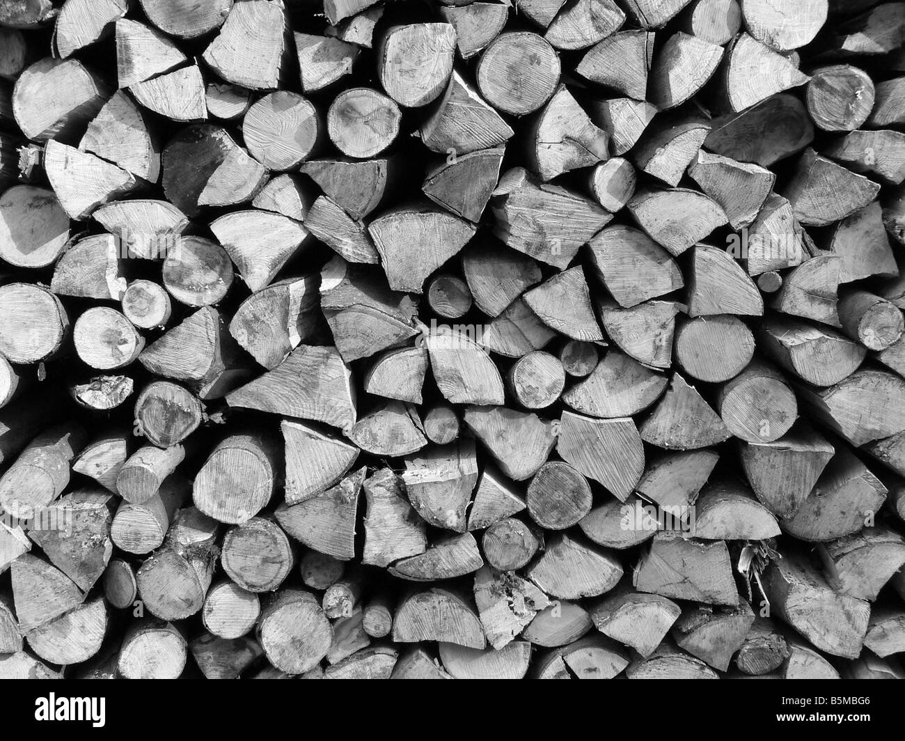 sawn log ends Stock Photo - Alamy