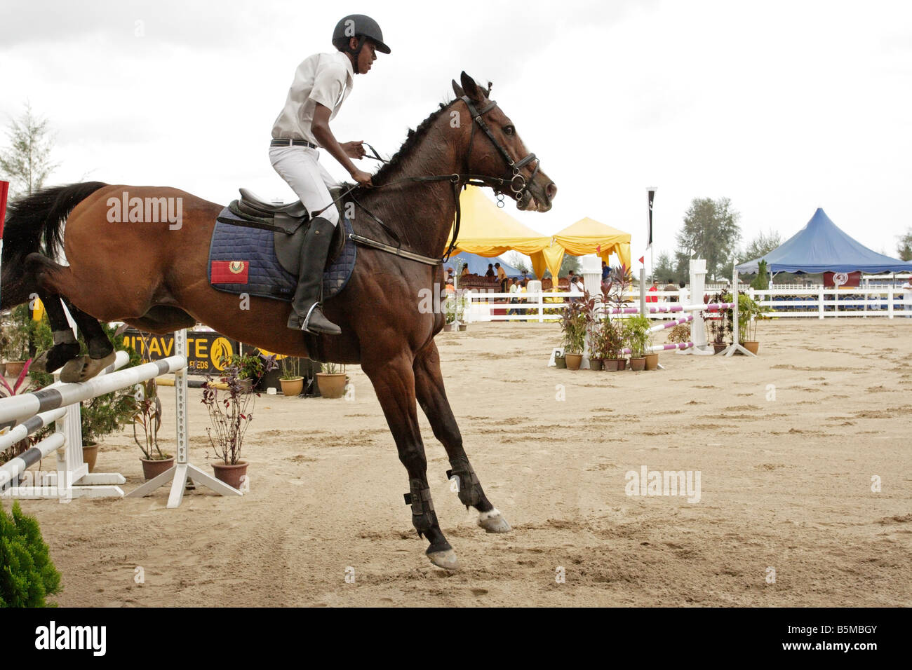 Show jumping competition in Terengganu, Malaysia Stock Photo - Alamy