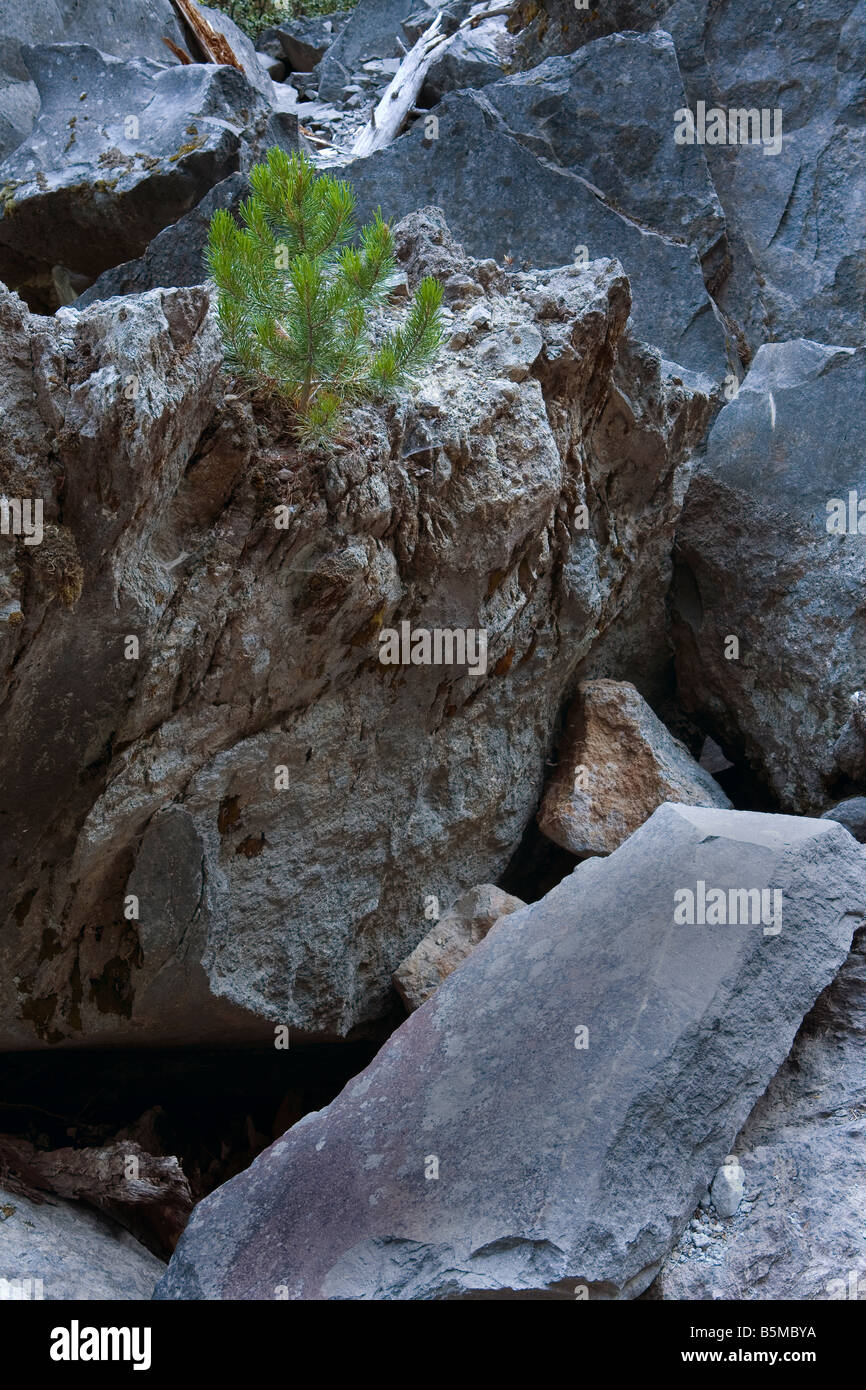 Bourders hi-res stock photography and images - Alamy