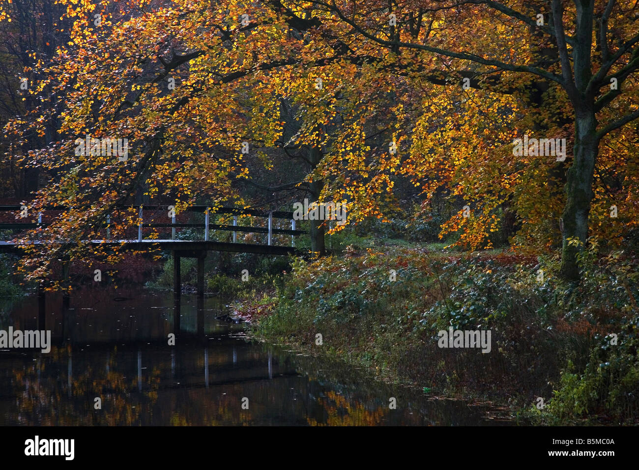 bridge over shallow water Stock Photo - Alamy