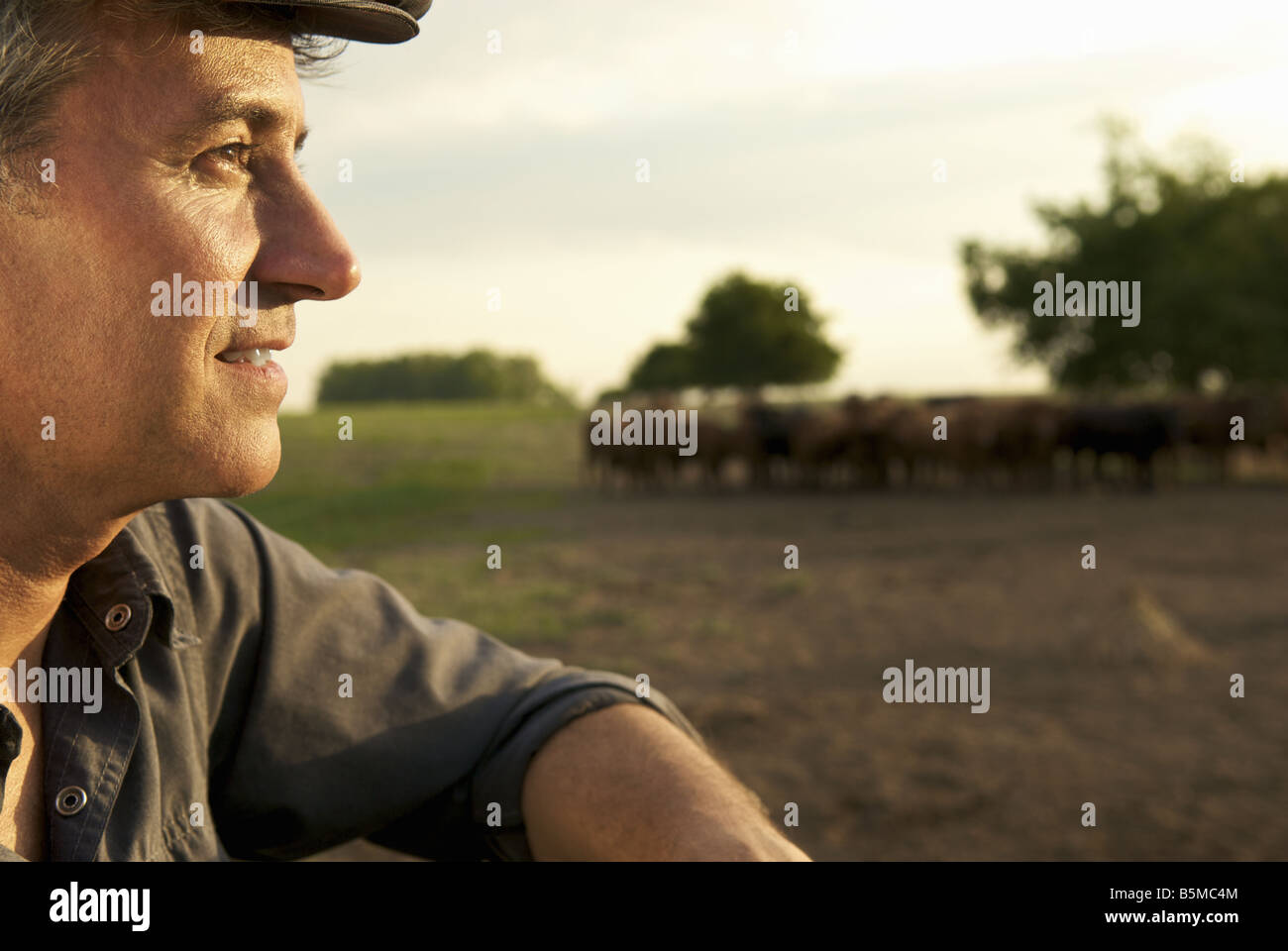 Man on a ranch Stock Photo - Alamy