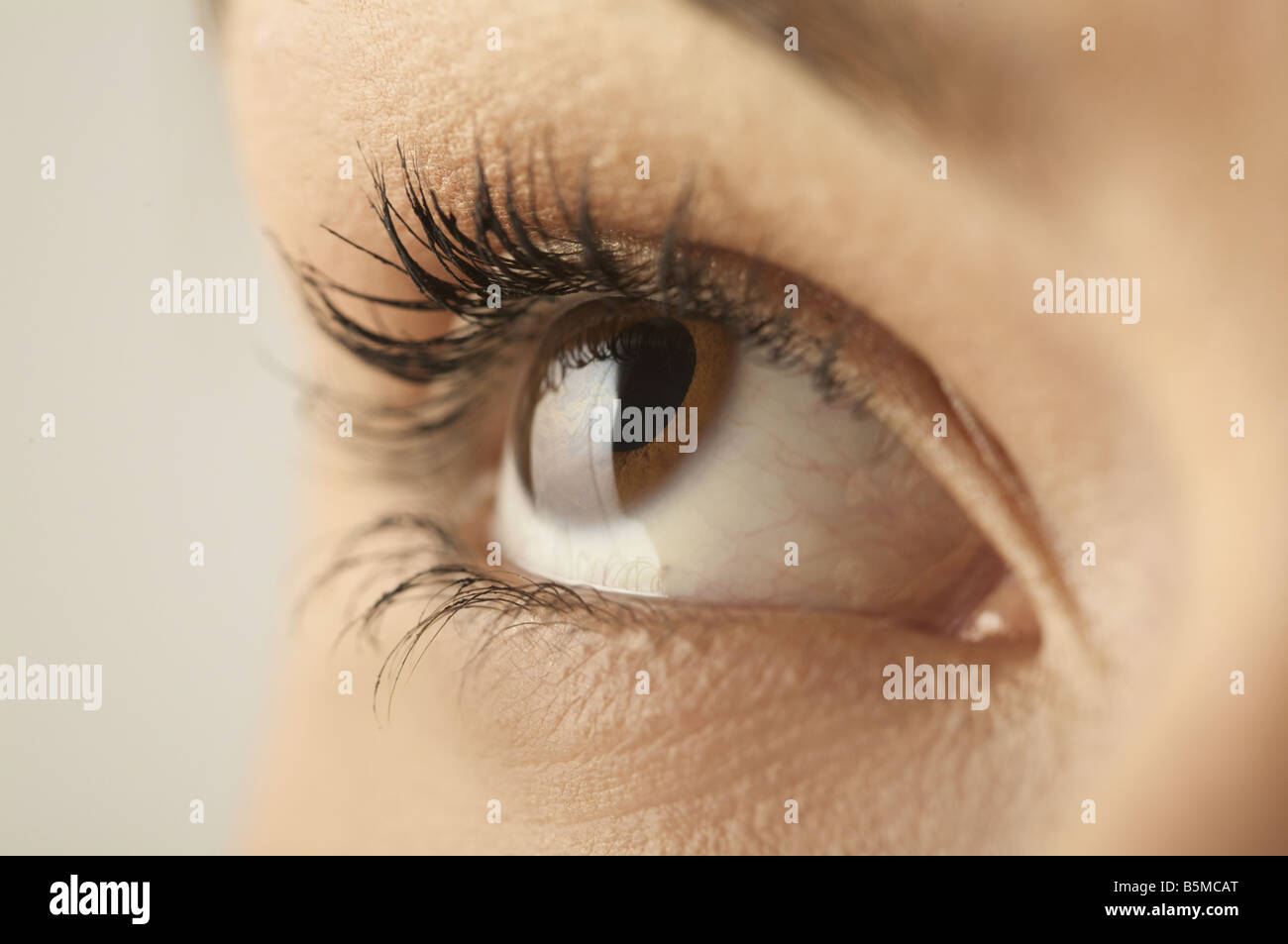 Eye looking at hi-res stock photography and images - Alamy