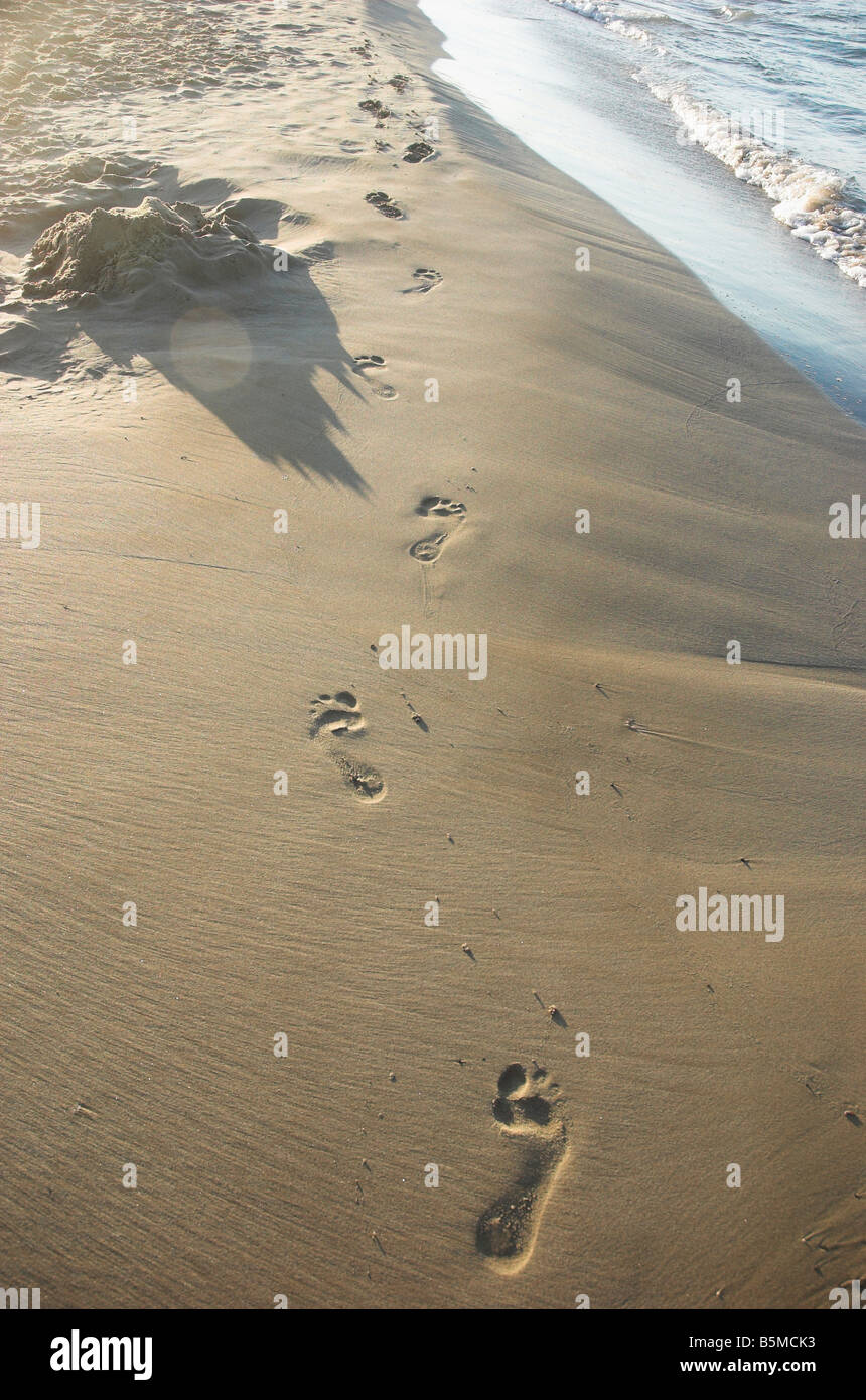 Footsteps in sand at sunset Stock Photo - Alamy