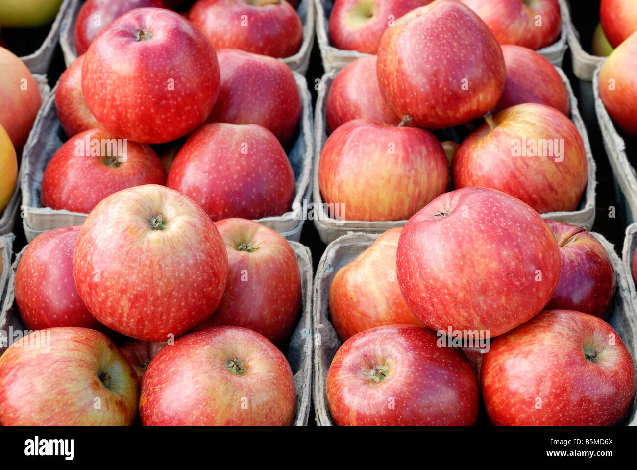 Winesap Apples at an open air market Stock Photo - Alamy