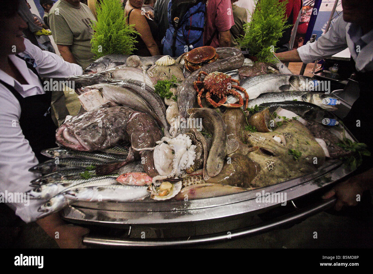 A tray of local fish on display at the Newlyn Fish Festival in Newlyn ...