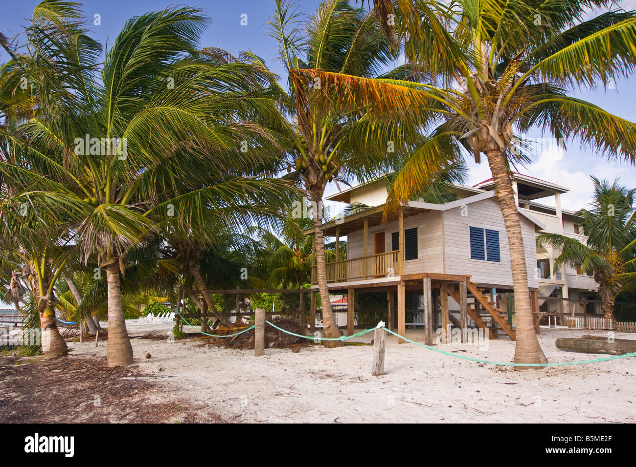 CAYE CAULKER BELIZE Traditional wooden house on stilts on the beach ...