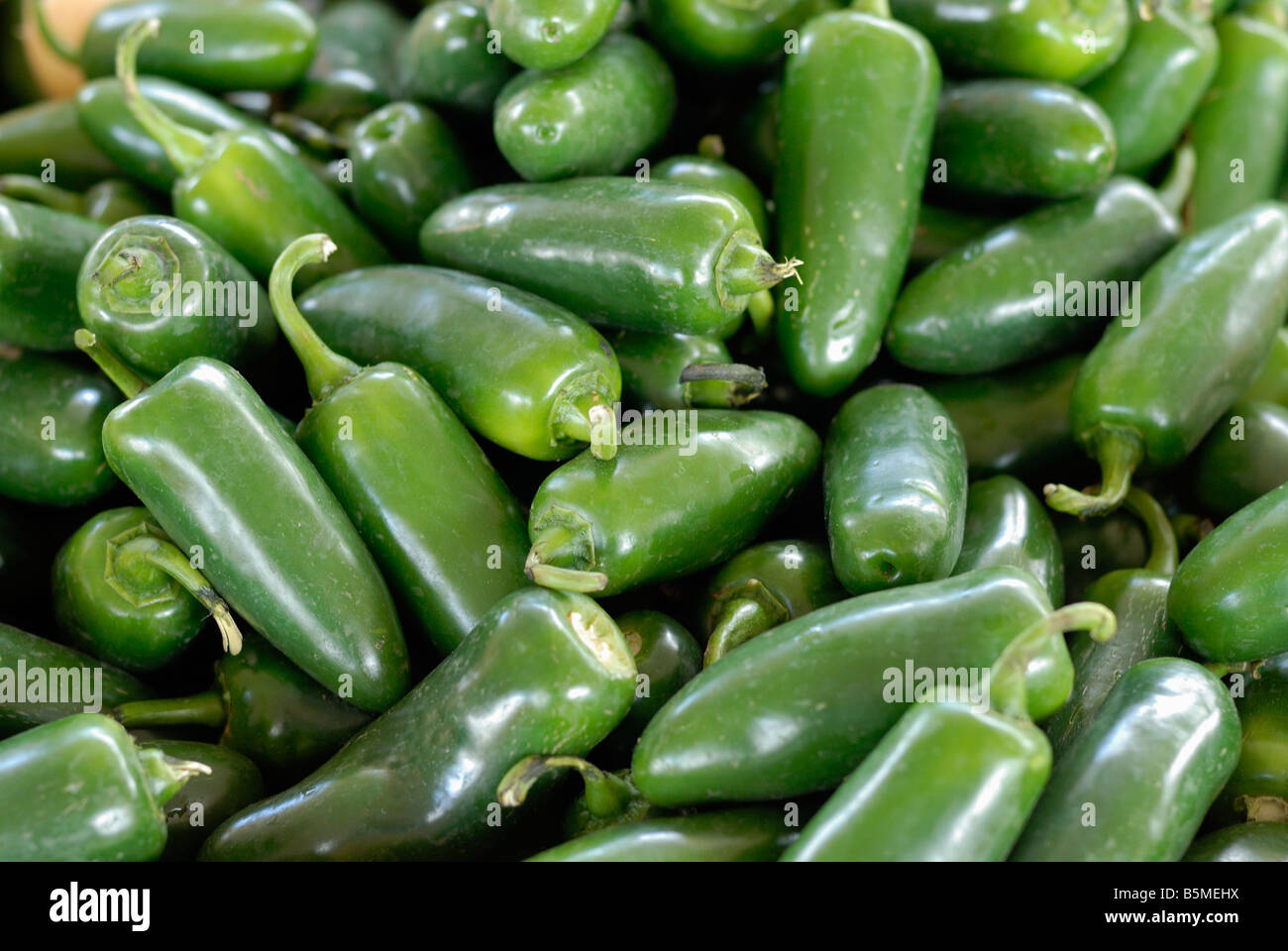 Waxy pepper hi-res stock photography and images - Alamy