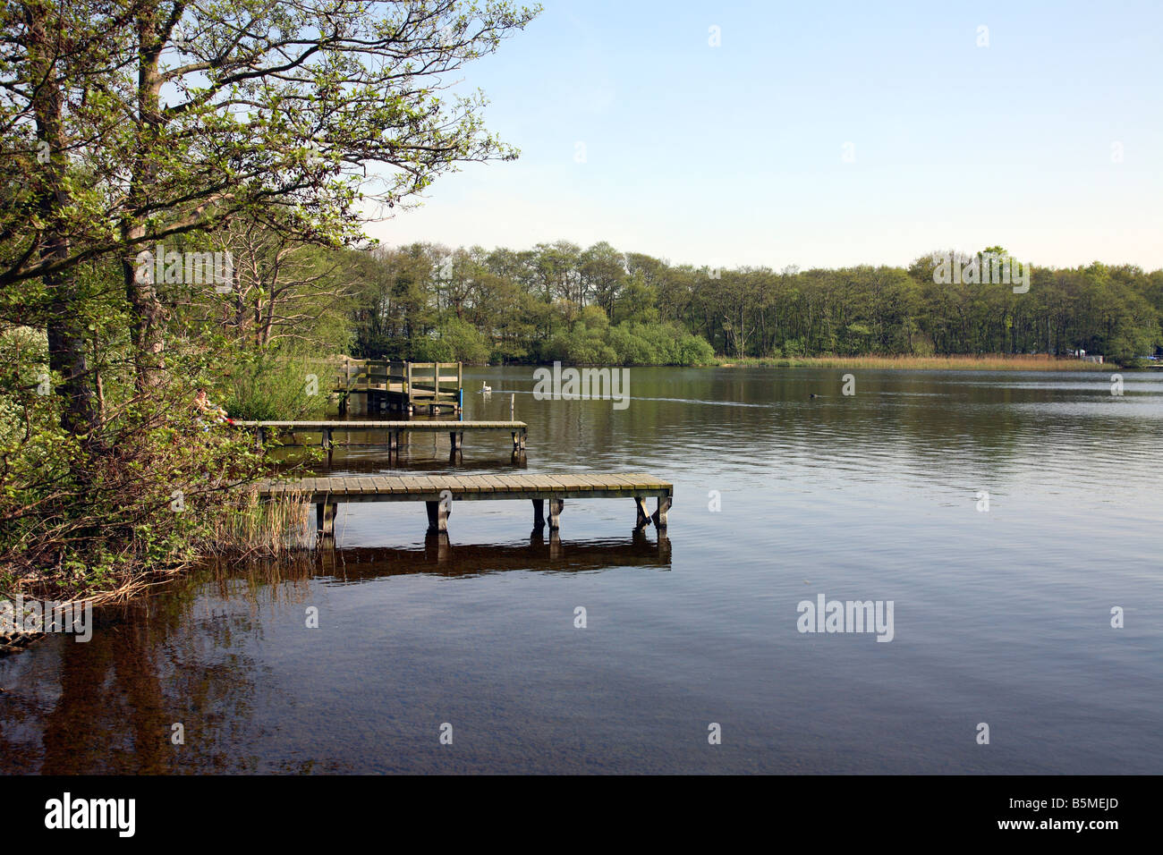 Rollesby broad norfolk hi-res stock photography and images - Alamy