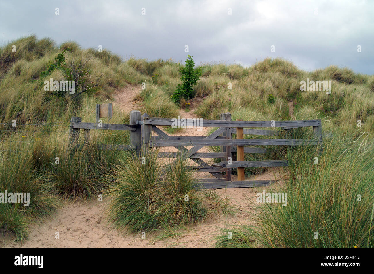 Sand gate hi-res stock photography and images - Alamy