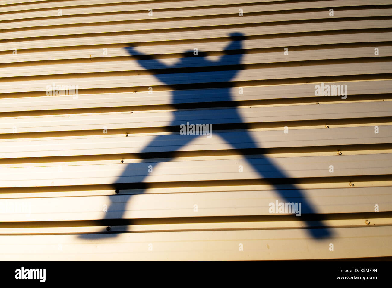 shadow of someone jumping for joy Stock Photo - Alamy