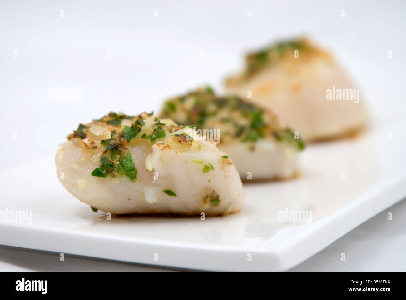 scallops on a plate Stock Photo - Alamy
