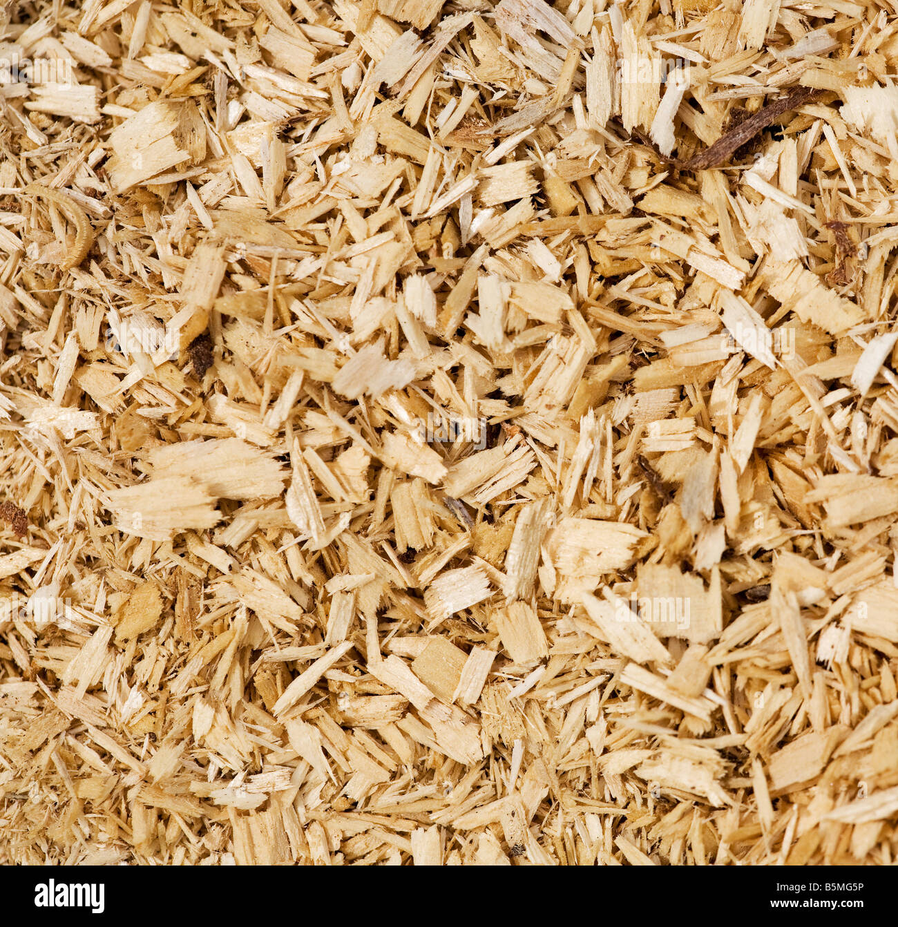 An abstract woodchip background Stock Photo - Alamy