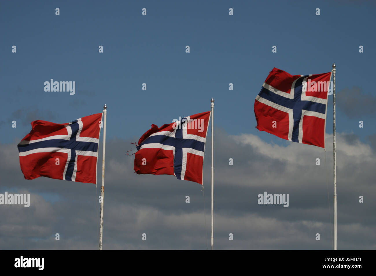 With norwegian flags hi-res stock photography and images - Alamy