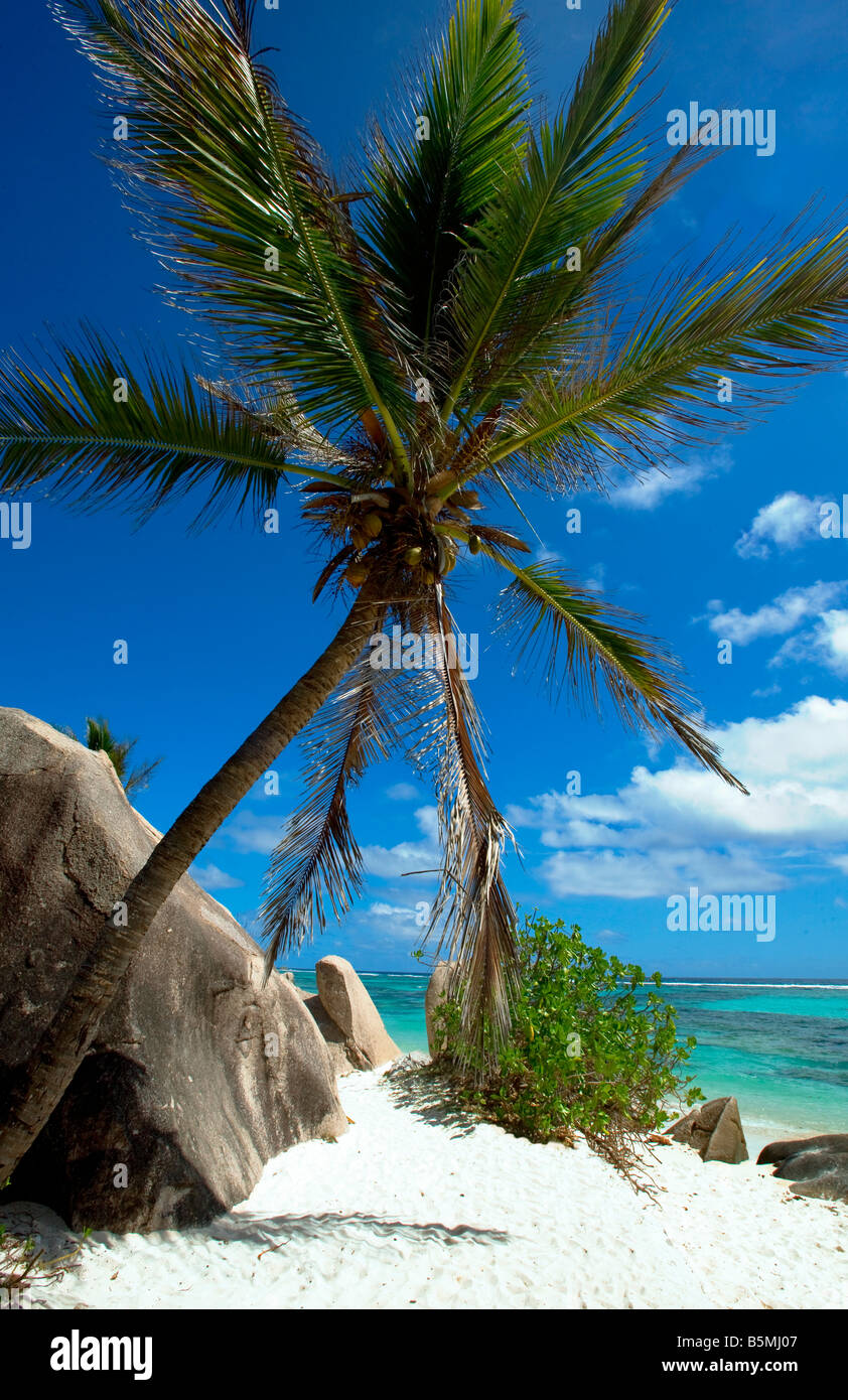 Shore island hi-res stock photography and images - Alamy