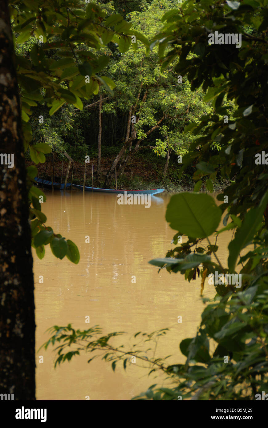 Longboat on a sarawakian river Stock Photo - Alamy