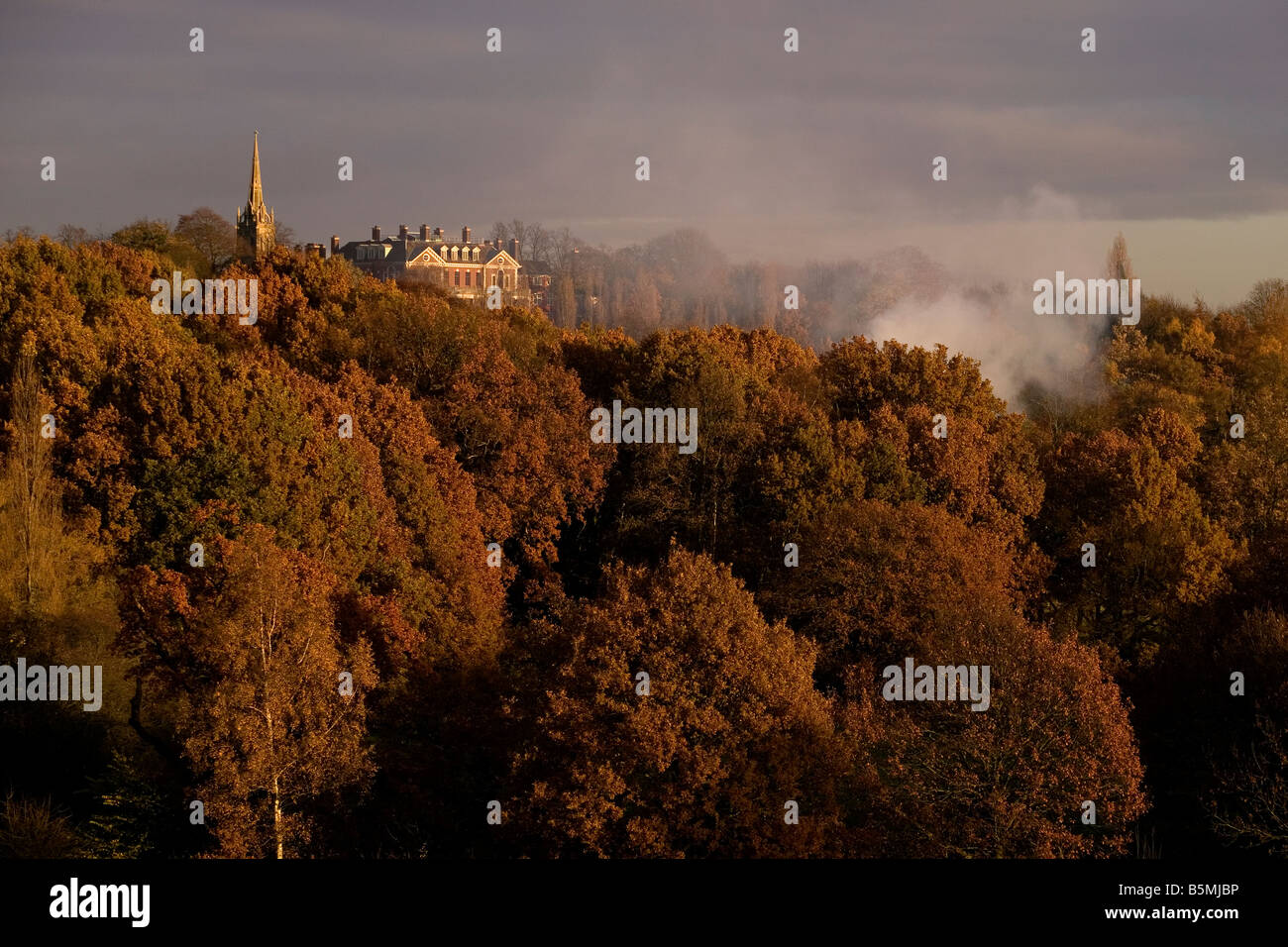 Highgate Church viewed from Hamstead Heath Stock Photo - Alamy