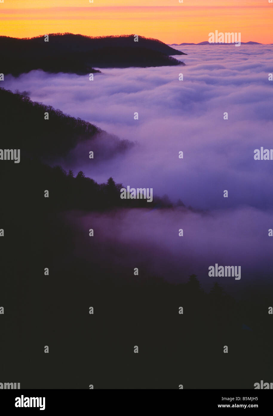 Foggy ridges Great Smoky Mountains National Park North Carolina Stock ...