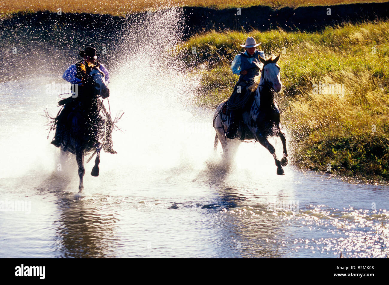 Galloping hi-res stock photography and images - Alamy