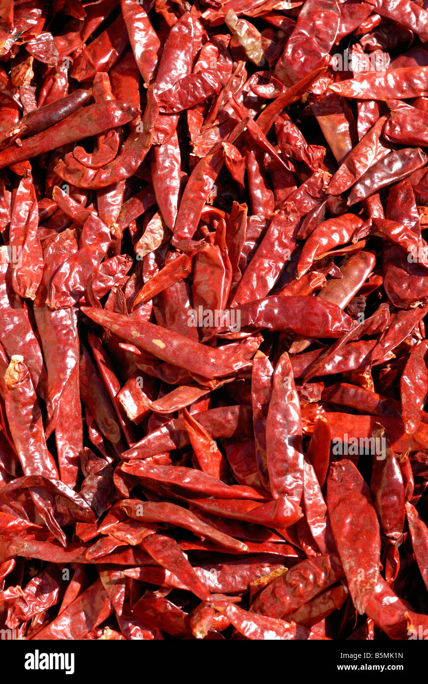 Air dried chilli hi-res stock photography and images - Alamy