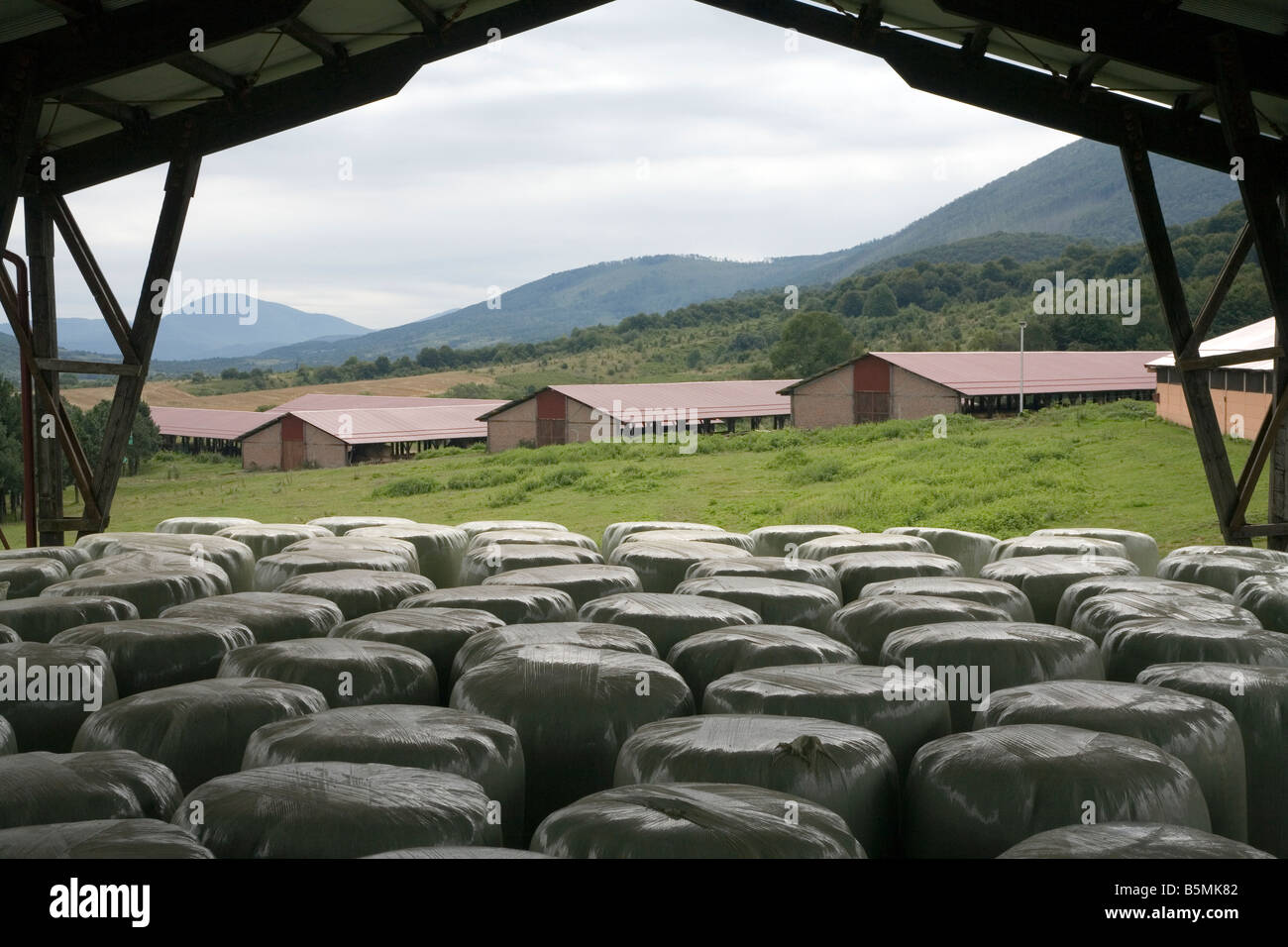 Hay forage hi-res stock photography and images - Alamy
