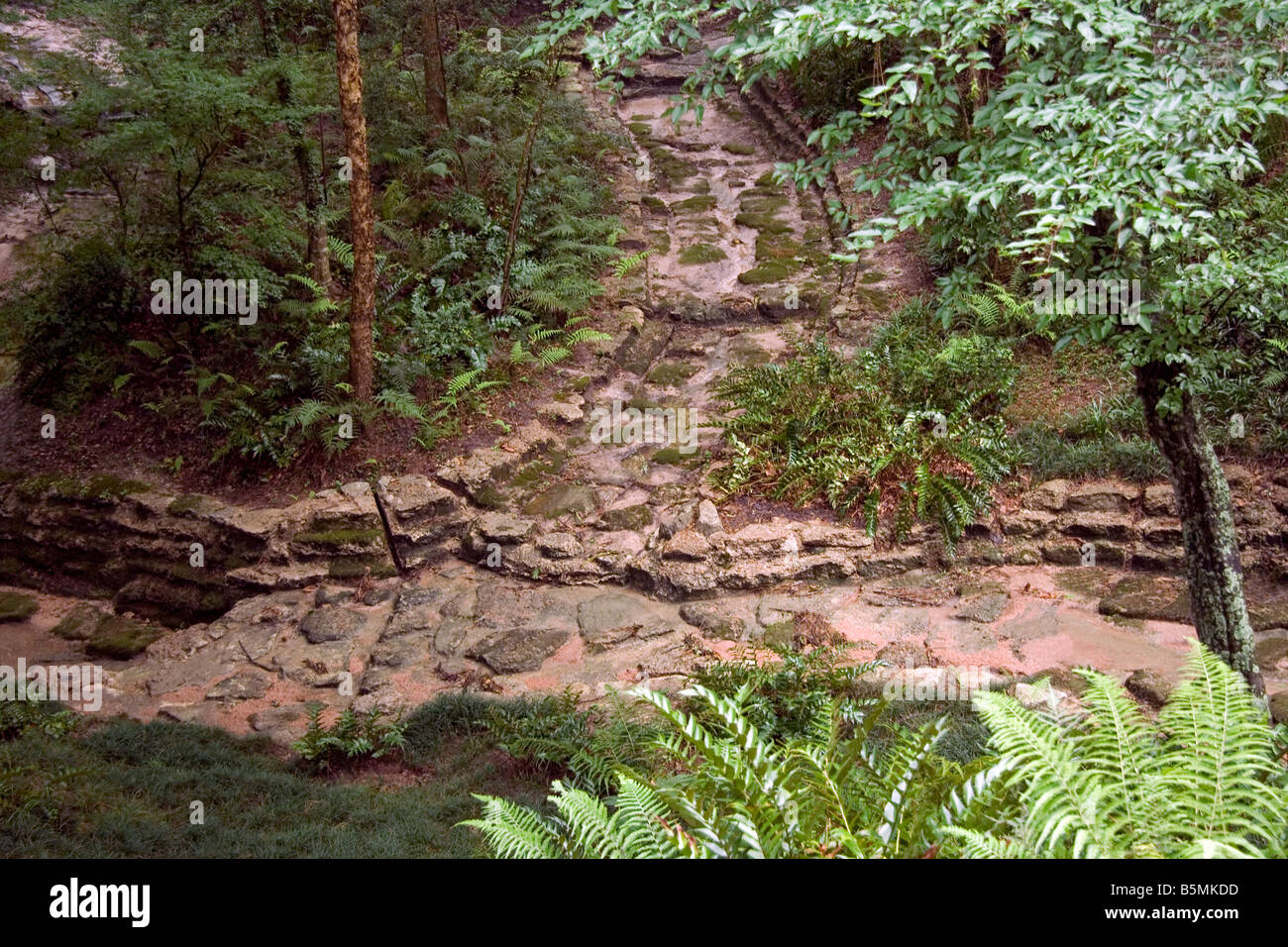 A stone pathway going through a lush forest Stock Photo - Alamy