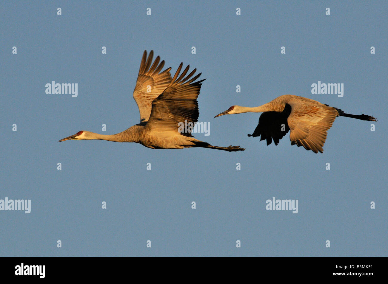 Two up two down Stock Photo - Alamy