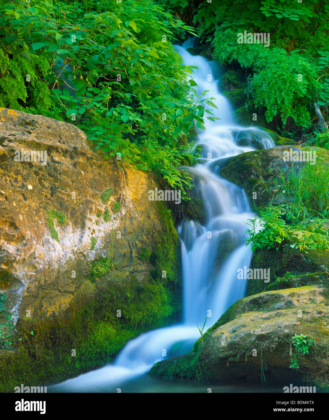 Big Spring Zion National Park Utah Stock Photo - Alamy