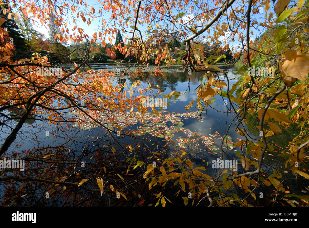 Sheffield Park Ohio at Imogen Parry-okeden blog