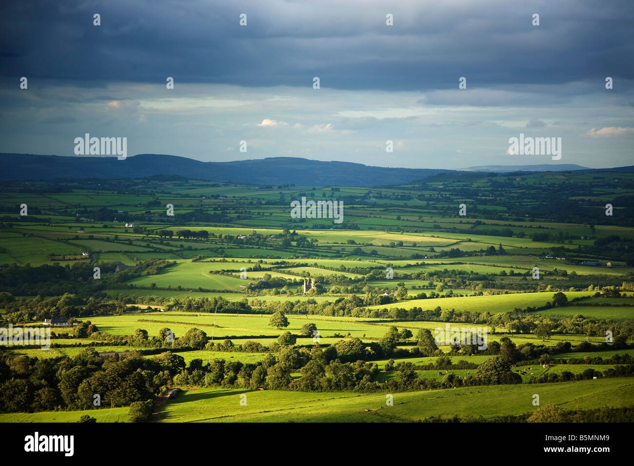 Pastoral Fields and Distant Castle Ruin Near Clonea, Viewed from ...