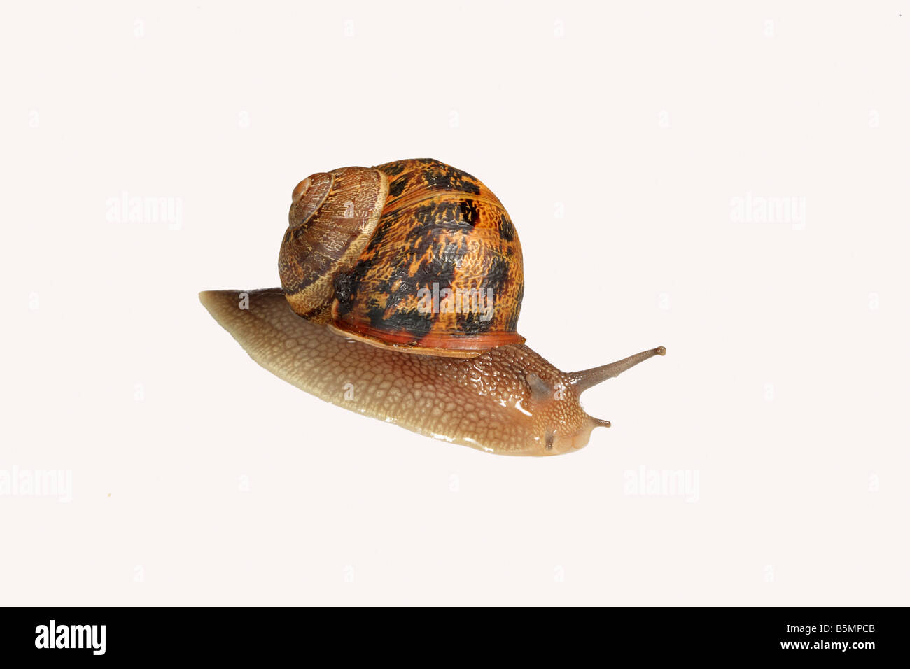 Out side view hi-res stock photography and images - Alamy