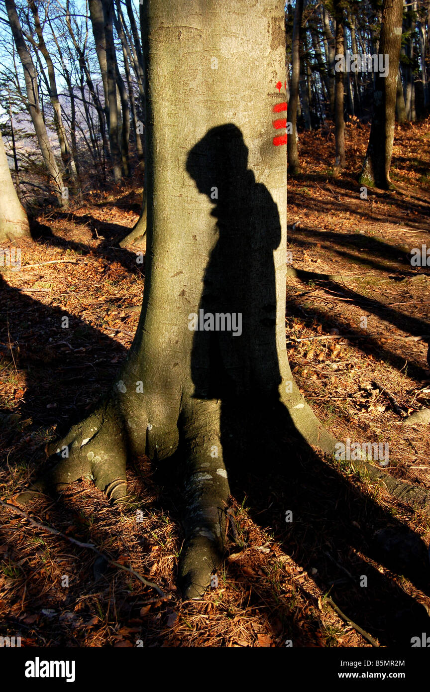 Human shadow silhouette hi-res stock photography and images - Alamy