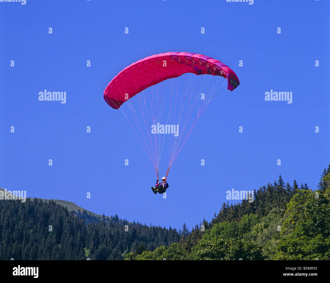 A Paraglider flying over Grindelwald Switzerland Stock Photo - Alamy