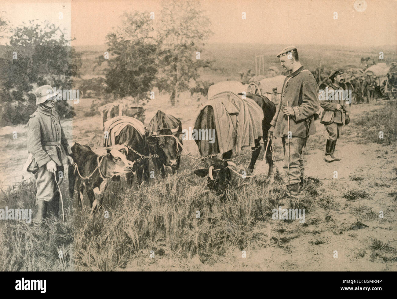 9 1918 5 31 A2 2 E WW1 Ger troops capture of cattle World War 1 Western ...