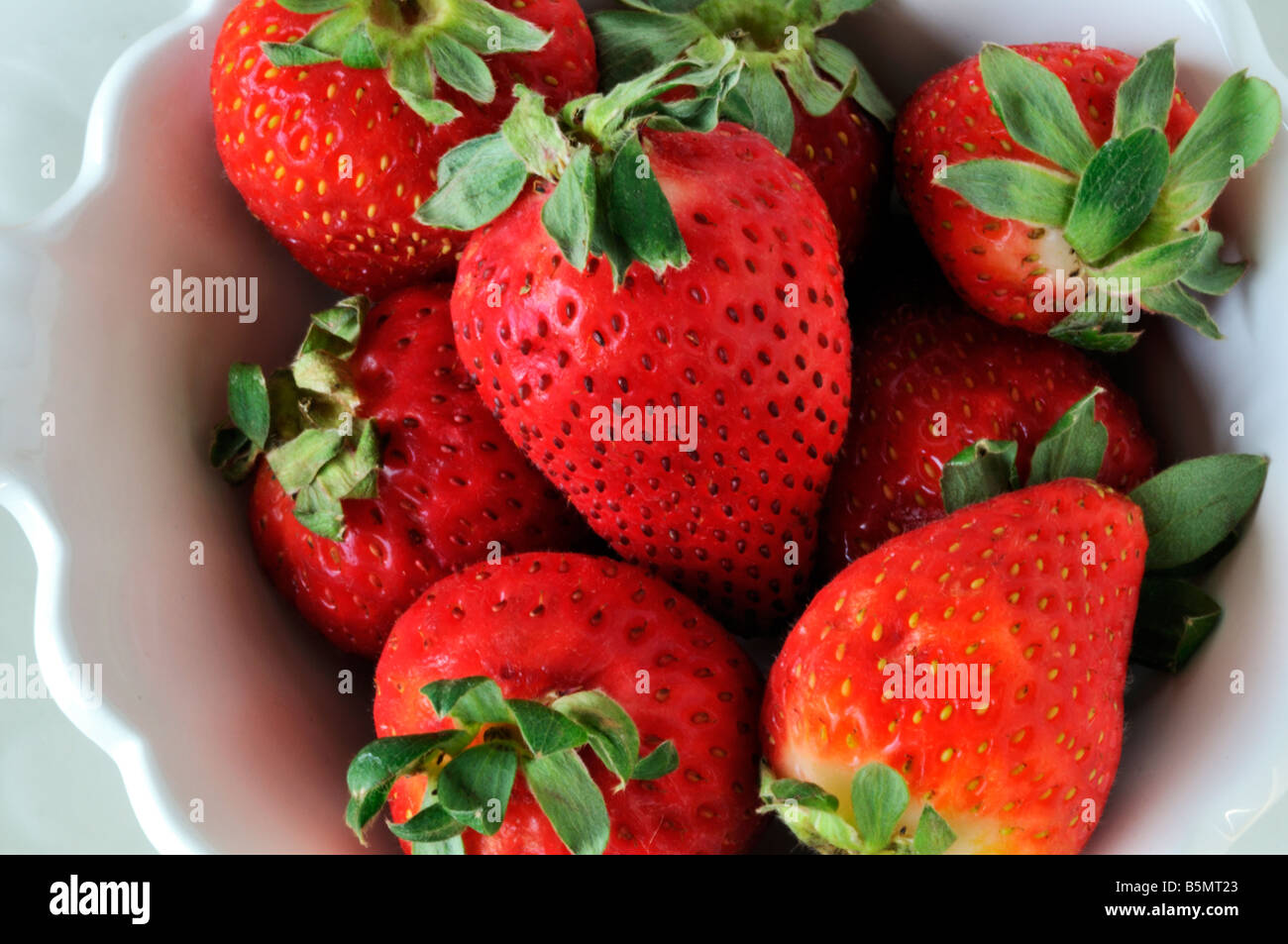 Ruby red berries hi-res stock photography and images - Alamy