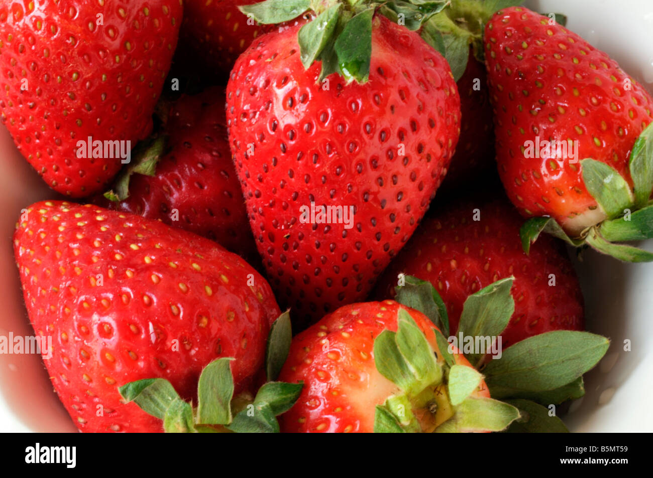 Ruby berries hi-res stock photography and images - Alamy