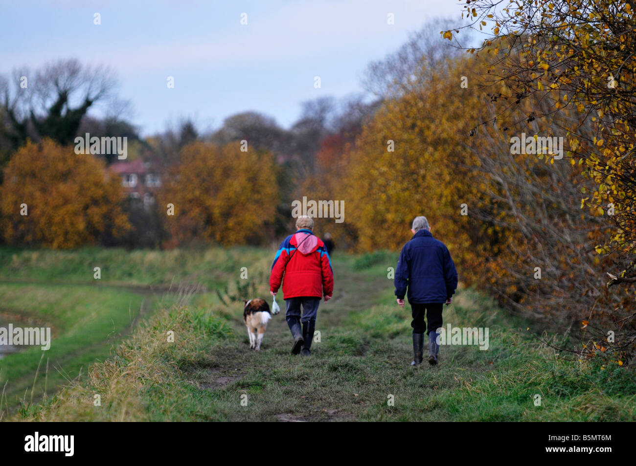 elderly couple walking with dog on an autumn afternoon Stock Photo - Alamy