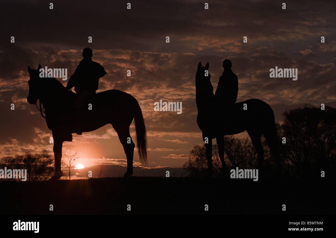 Horse riders against sunset sky Stock Photo - Alamy
