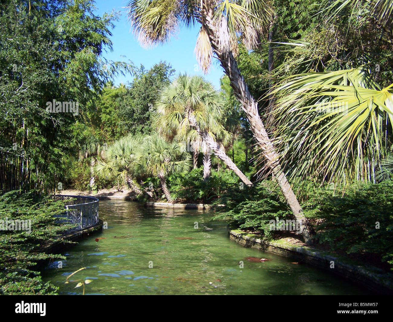 A tropical stream along the walking path from the Portofino Bay and the ...