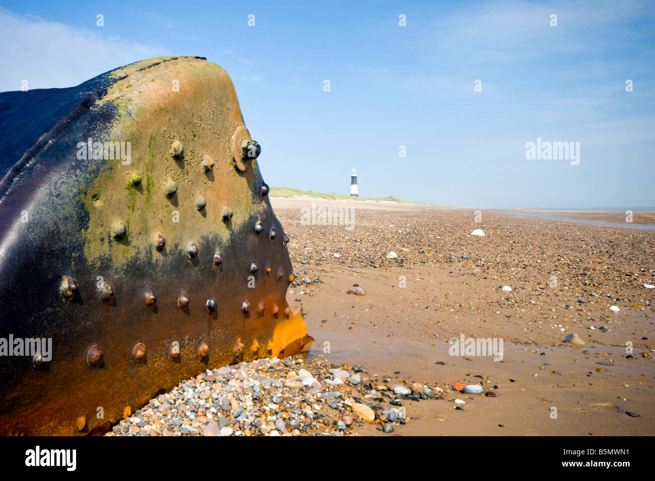 remains of a wrecked ship on Spurn point on the Humber estuary, on the ...