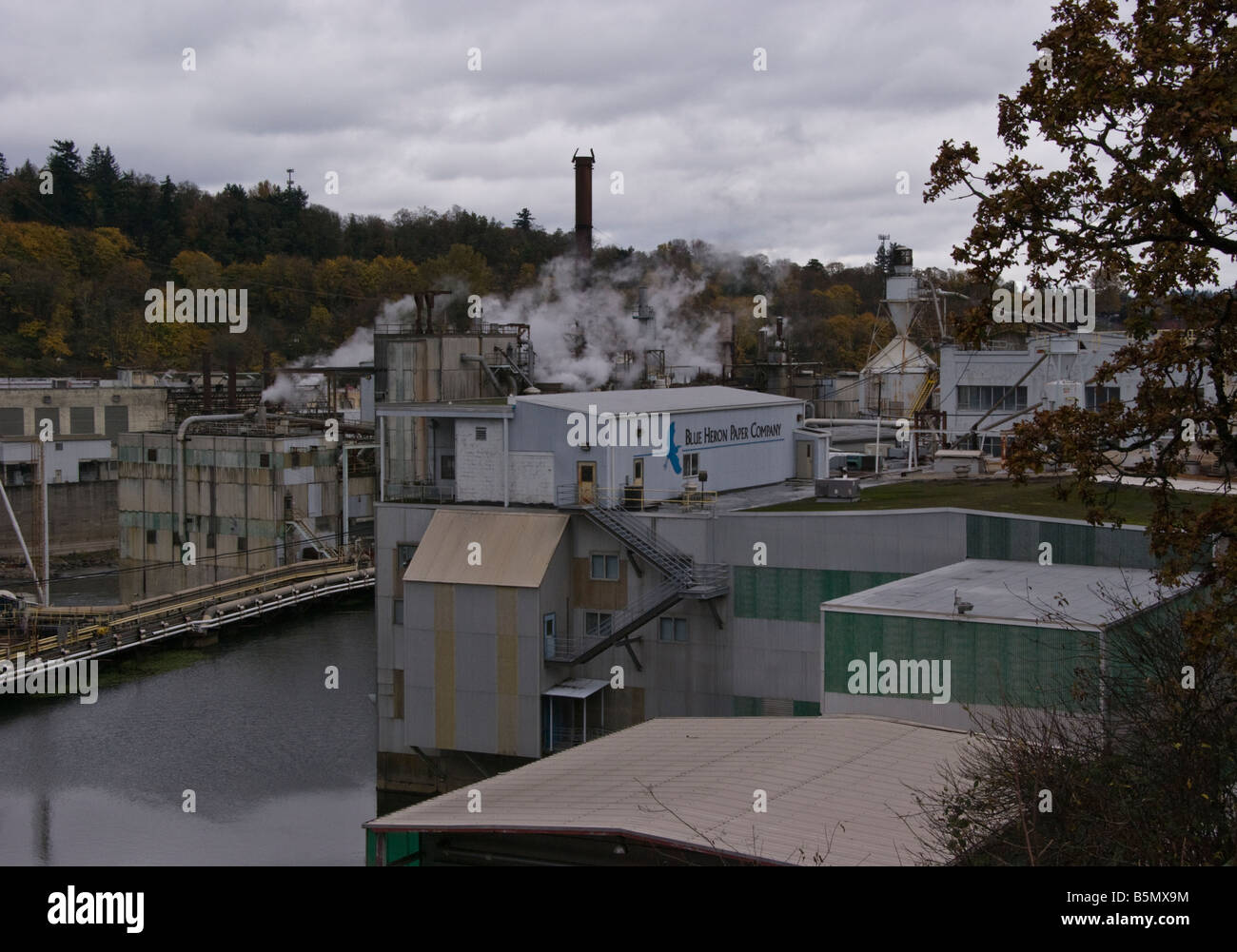 Blue heron paper mill hi-res stock photography and images - Alamy