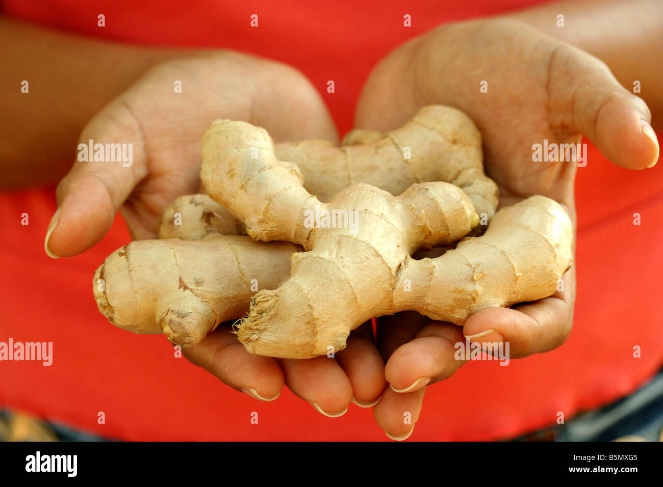 Woman hand holding ginger root hi-res stock photography and images - Alamy