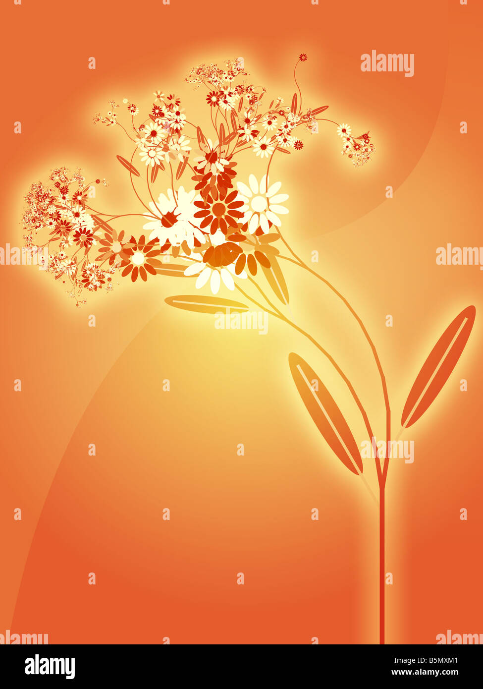 Illustration of various assorted flowers hi-res stock photography and ...