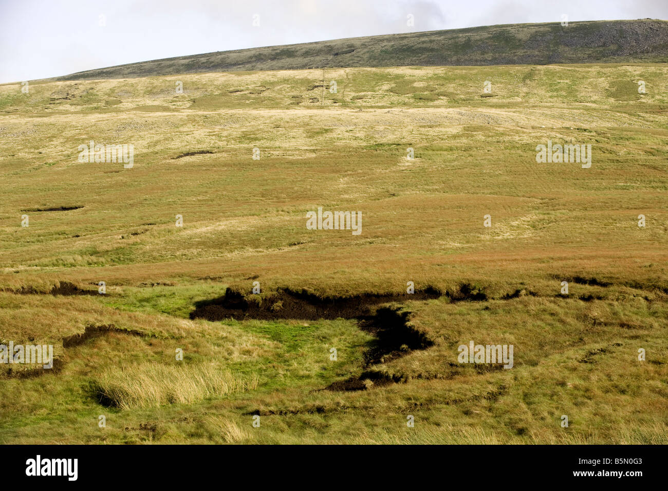 Peat Hag on moorland in the Yorkshire Dales National Park Stock Photo ...
